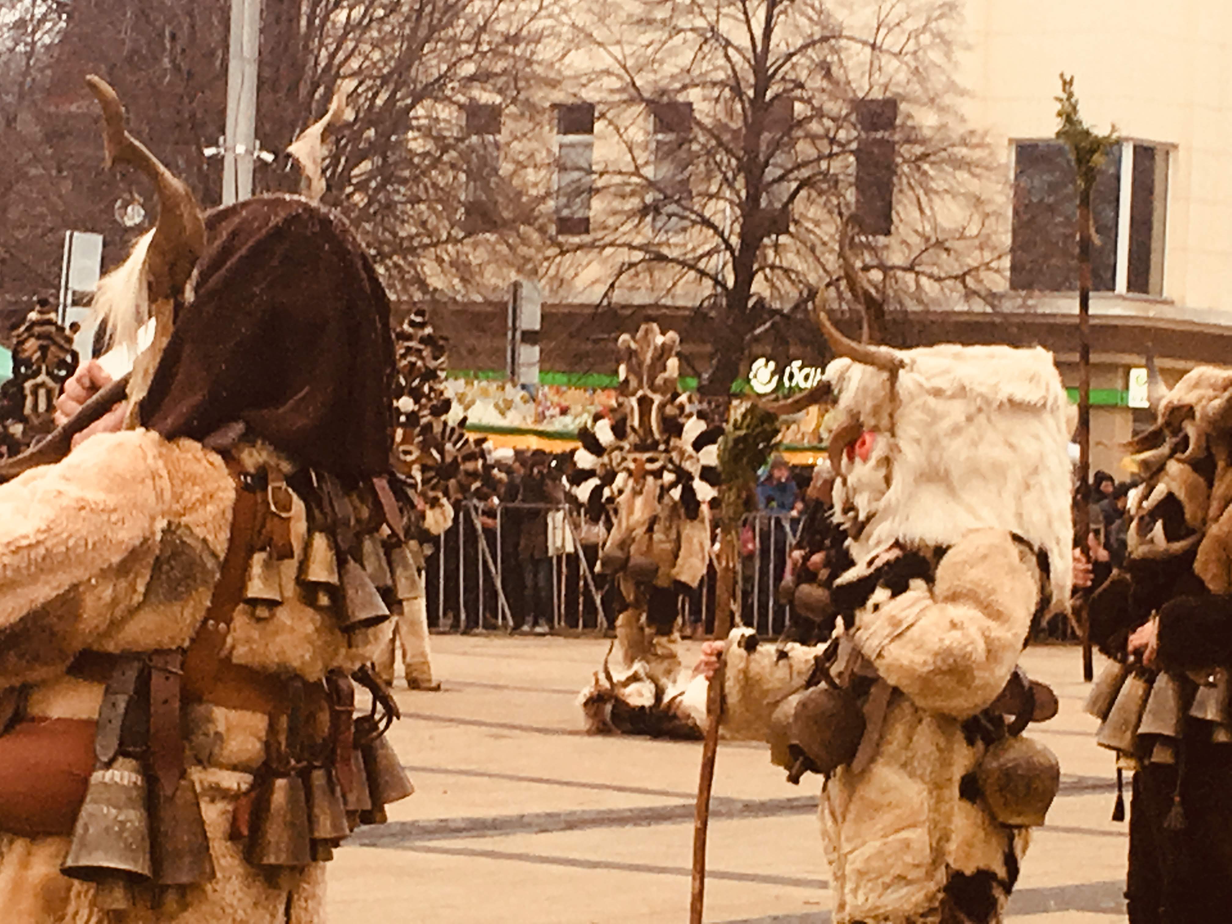 Zornitsa Yahiya - Aspiring Junior Developer